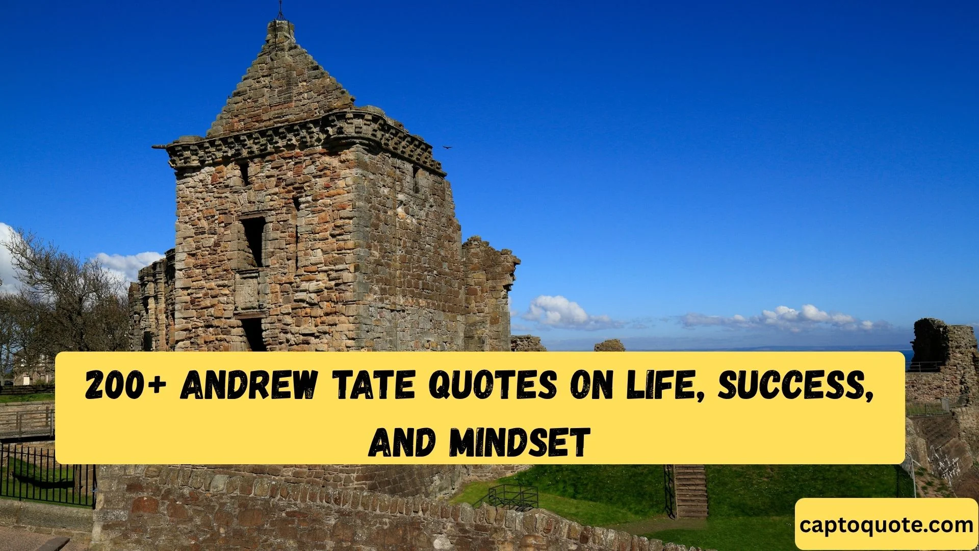 200+ Andrew Tate Quotes on Life, Success, and Mindset